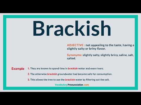 How to Pronounce BRACKISH l Definition, Meaning, Example and Synonyms of BRACKISH by VP www vocabula