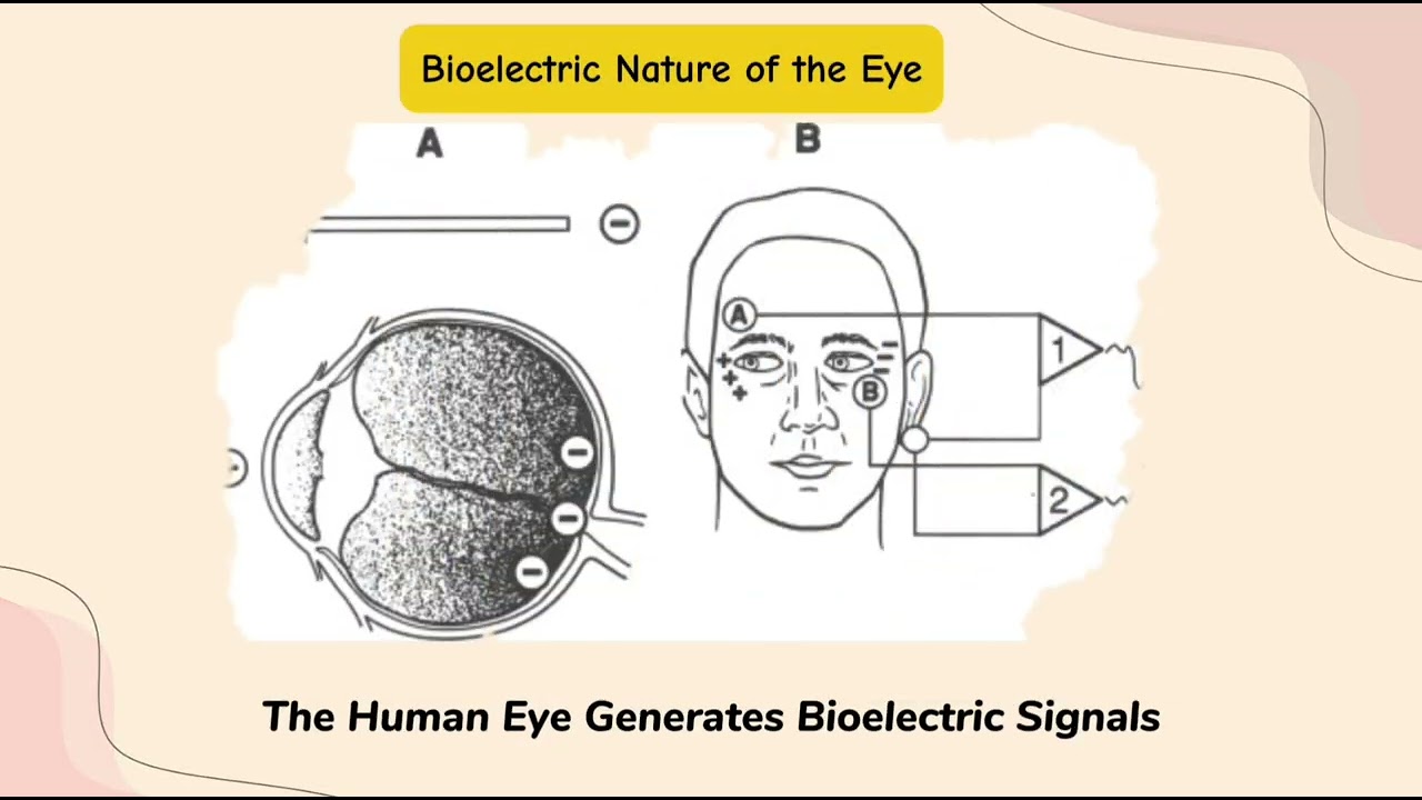 Analysing Electrooculogram(EOG) Sensors : Principles, Components and Applications