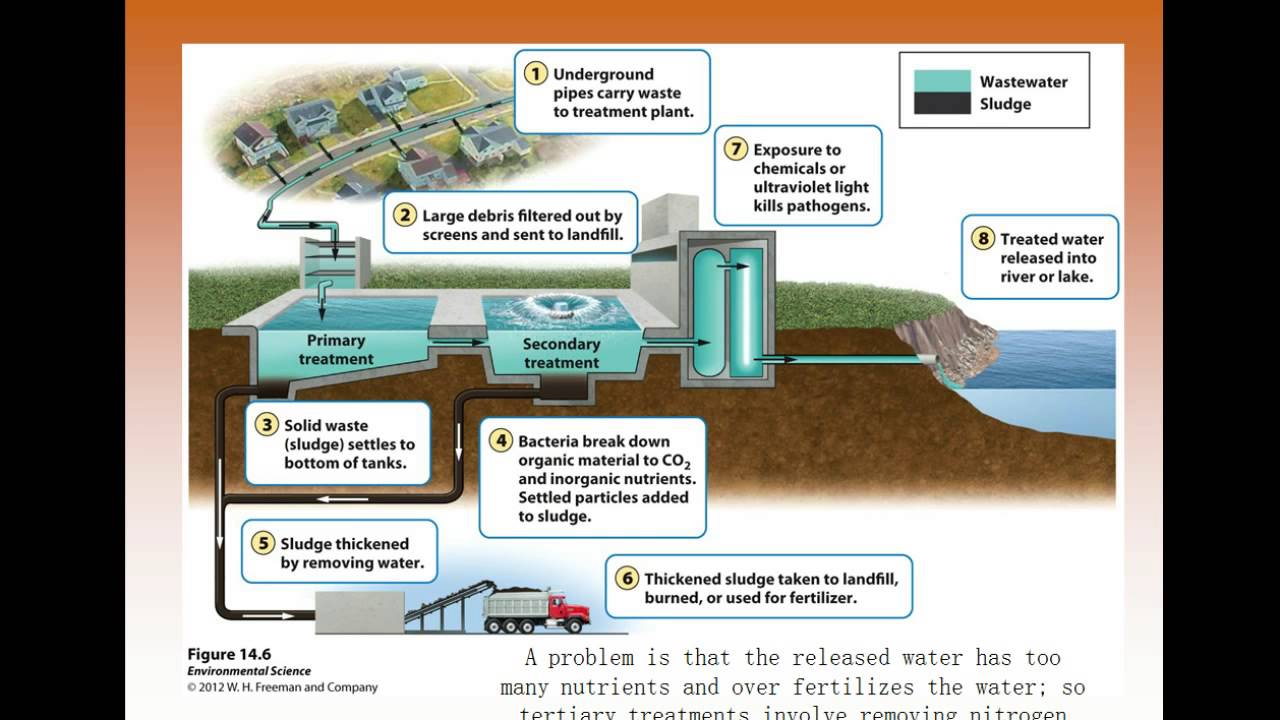 APES Chapter 14 Water Pollution