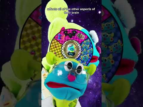 Guide to Zoola’s Brain – Zoola Monkey