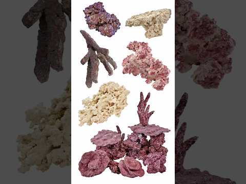 How to Choose the Right Rock for Your Reef Tank. #brstv