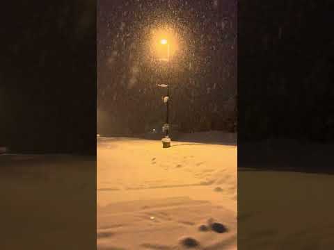 Winter snowstorm Anchorage, Alaska Record breaking 11/8/2023 First Snowstorm warning of the season.