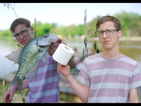 Can you catch fish with toilet paper?