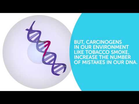 The ‘Perfect Storm’ Leading to Cancer | Cancer Research UK