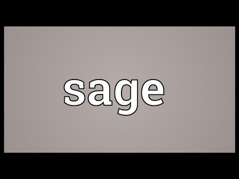 Sage Meaning
