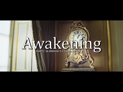 Blackmagic Pocket Cinema Camera 4k | Awakening | BMRAW 5:1 | Canon 24-105 L | Speedbooster XL