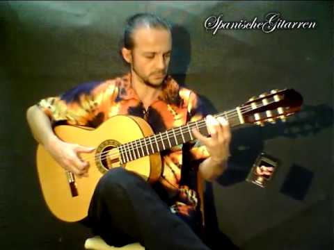 Raimundo Model 125 Flamenco iMuso