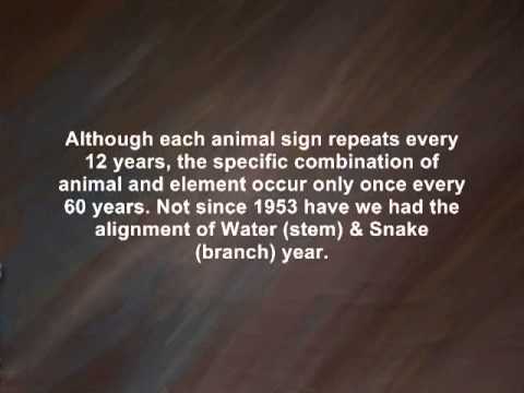 chinese astrology 2013 year of the snake