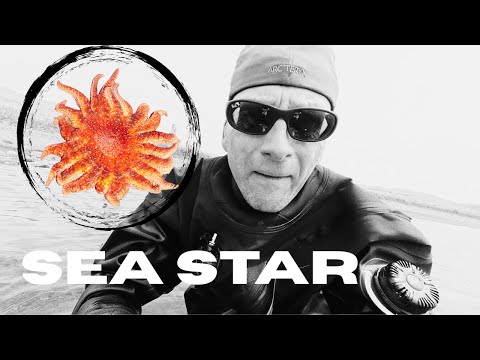 Sea Star