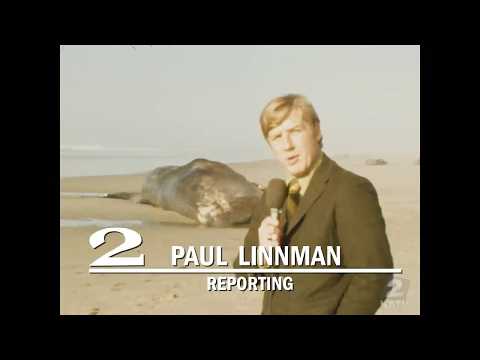 Oregon Exploding Whale 50 Years Later: Watch the Remastered Video