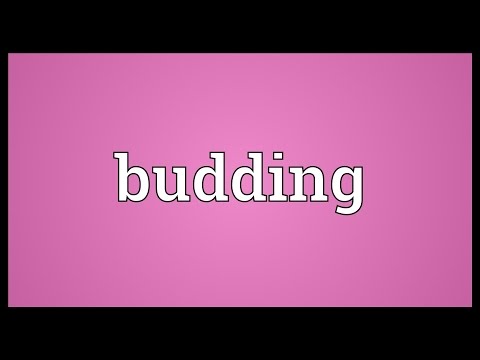 Budding Meaning