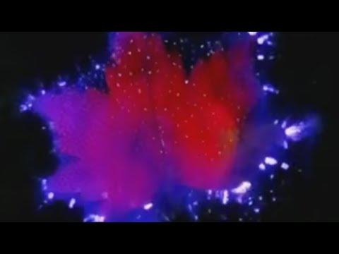 Autumn leaf kirlian photography