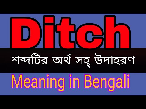 Ditch Meaning In Bengali/Ditch Mane ki