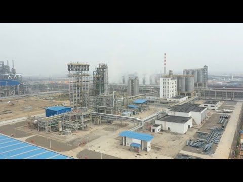 The world's largest copolymer polypropylene loop reactor hoisted in east China's Fuzhou
