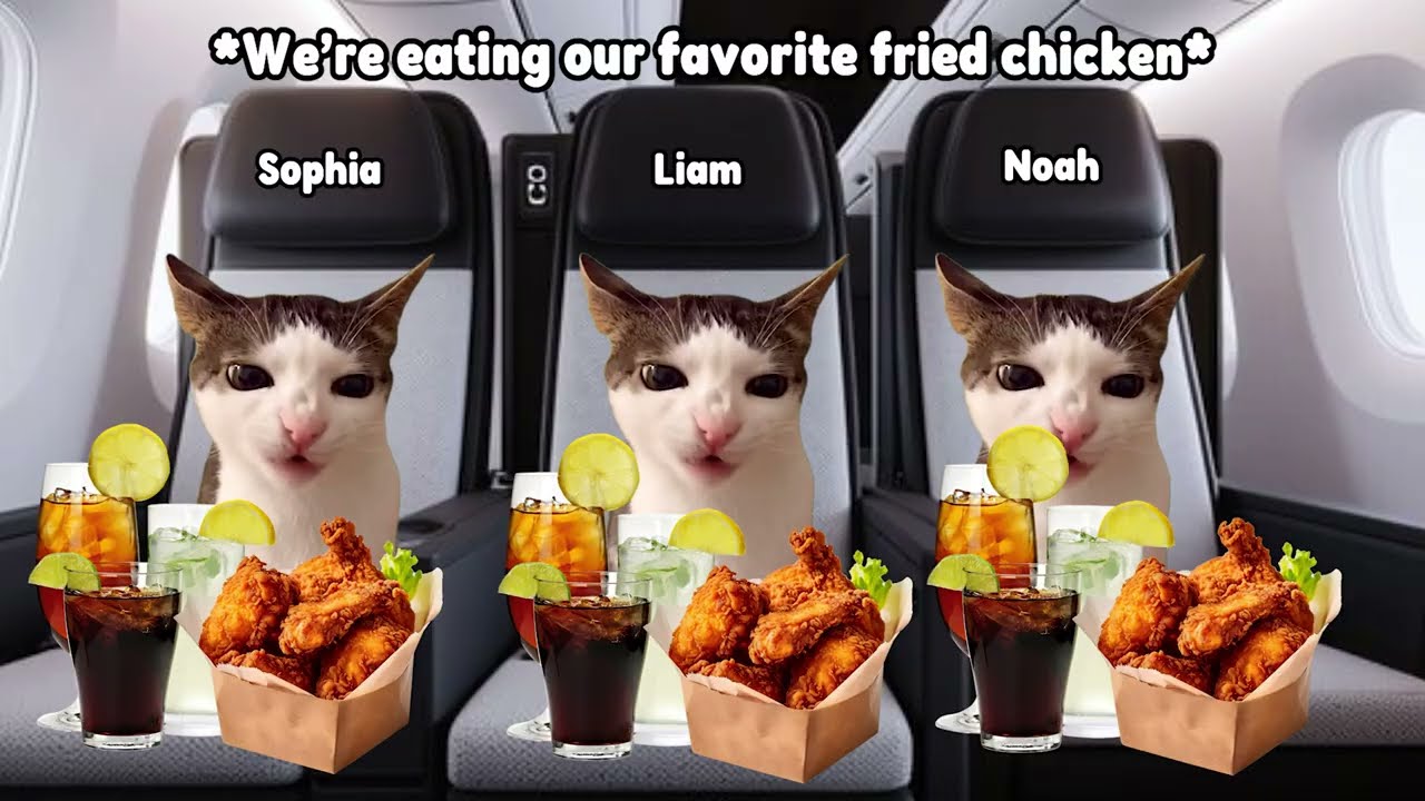 CAT MEMES FAMILY ROAD TRIP STORY (THAILAND)