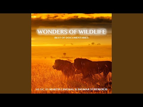 Sunrise (From "The Leopardess - Haunted Huntress")