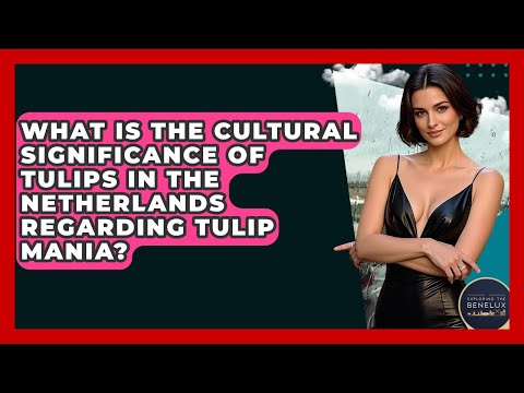 What Is The Cultural Significance Of Tulips In The Netherlands Regarding Tulip Mania?