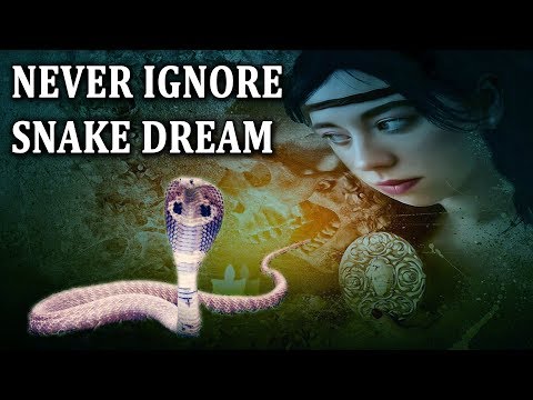 Never Ignore Snake Dreams | Real Meaning of Snake in Dreams | Snake dream interpretation