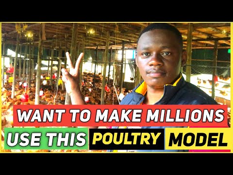 Most Profitable Poultry Farming Value Chain