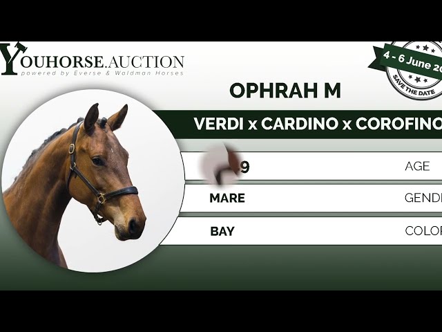 Youhorse.auction | Ophrah M