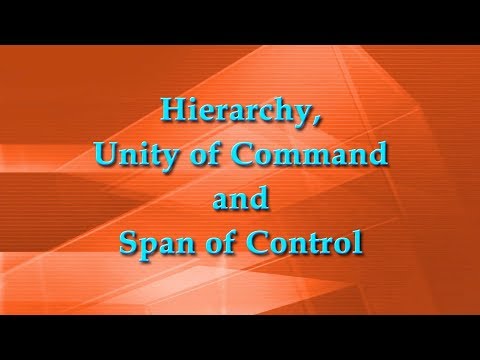Hierarchy, Unity of Command, and Span of Control Video Lecture - Crash Course for UGC NET Public ...