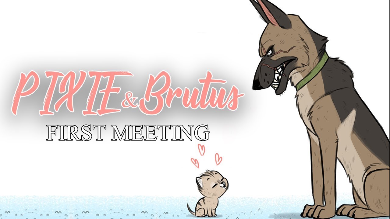 First Meeting | Pixie and Brutus Comic Dub