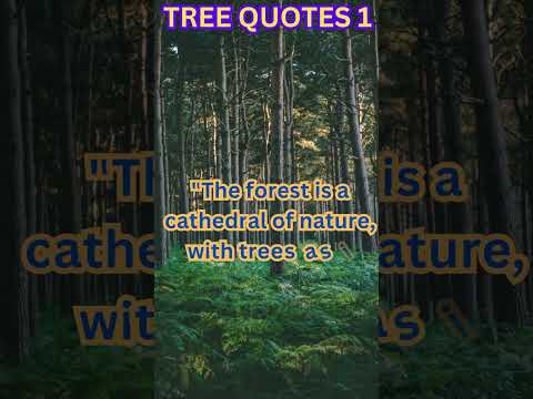 TREE QUOTES PART 1 #shorts #youtubeshorts #tree