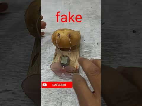 free energy generator with potato #shorts #sorts