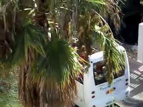 Cala d'Or. Bus.