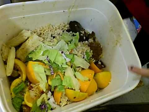 Orca Composting for the 2009-2010 school year | The Orca K-8 School ...