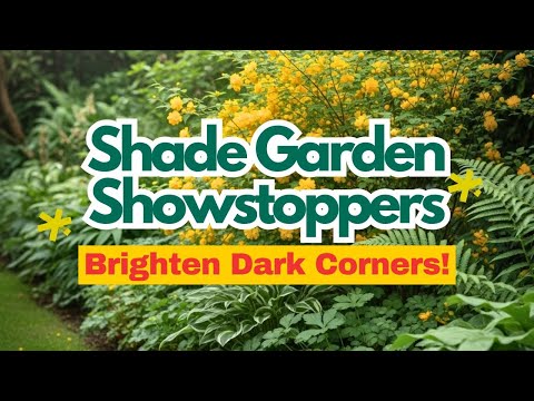 10 STUNNING SHRUBS FOR SHADY BORDERS โจ COLOR IN THE SHADOWS