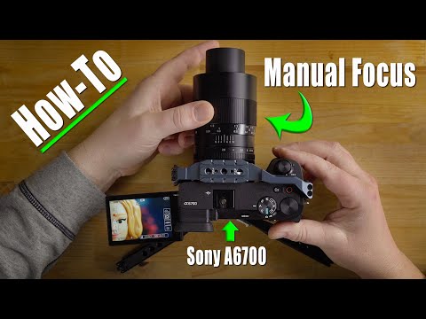 Sony A6700: Manual focus for beginners (ILCE6700)