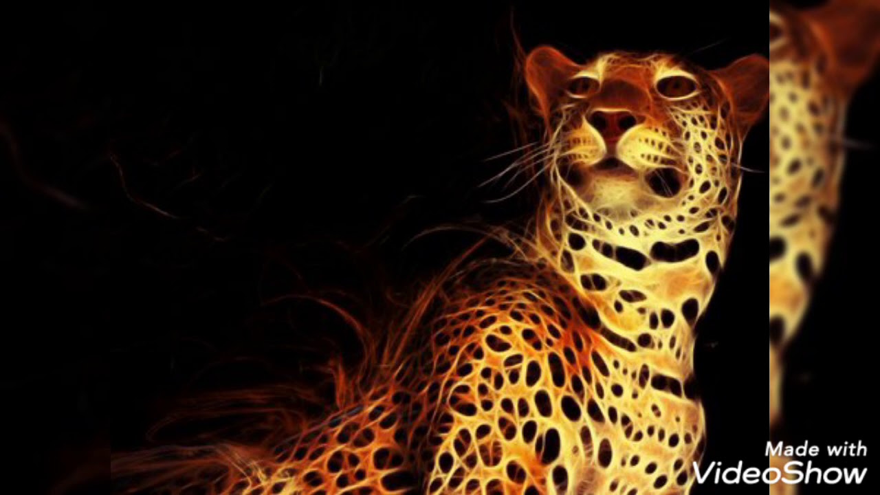 Top 10 Jaguar wallpapers hd