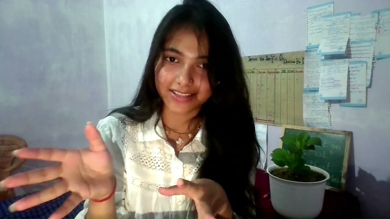 I Built GPT From Scratch as a BCA Student — How Transformers Actually Work 🧠