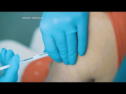 A Quebec company has started the country's first human trials of a plant-based COVID-19 vaccine.