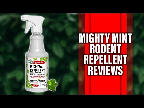 Mighty Mint Rodent Repellent Review: Should You Buy It? (Expert Analysis Inside)