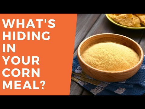 What's Hiding in Your Corn Meal?