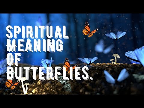 Spiritual Meaning Of Butterflies 2023 New Video