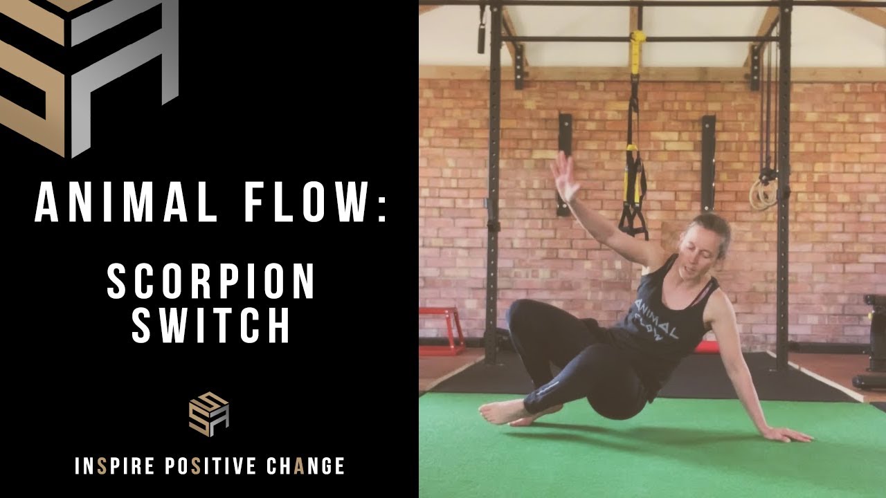 Animal Flow Demo: Scorpion Switch