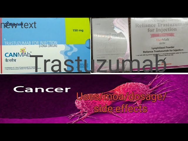 Stomach Cancer - Ujvira 160mg, Trastuzumab Emtansine Injection ...