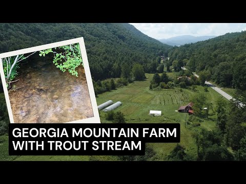 Beautiful Farm in Rabun County, Georgia, for sale with Trout Stream and Renovated Historic Farmhouse