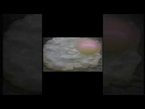 Official “brain on drugs” PSA (fried egg)