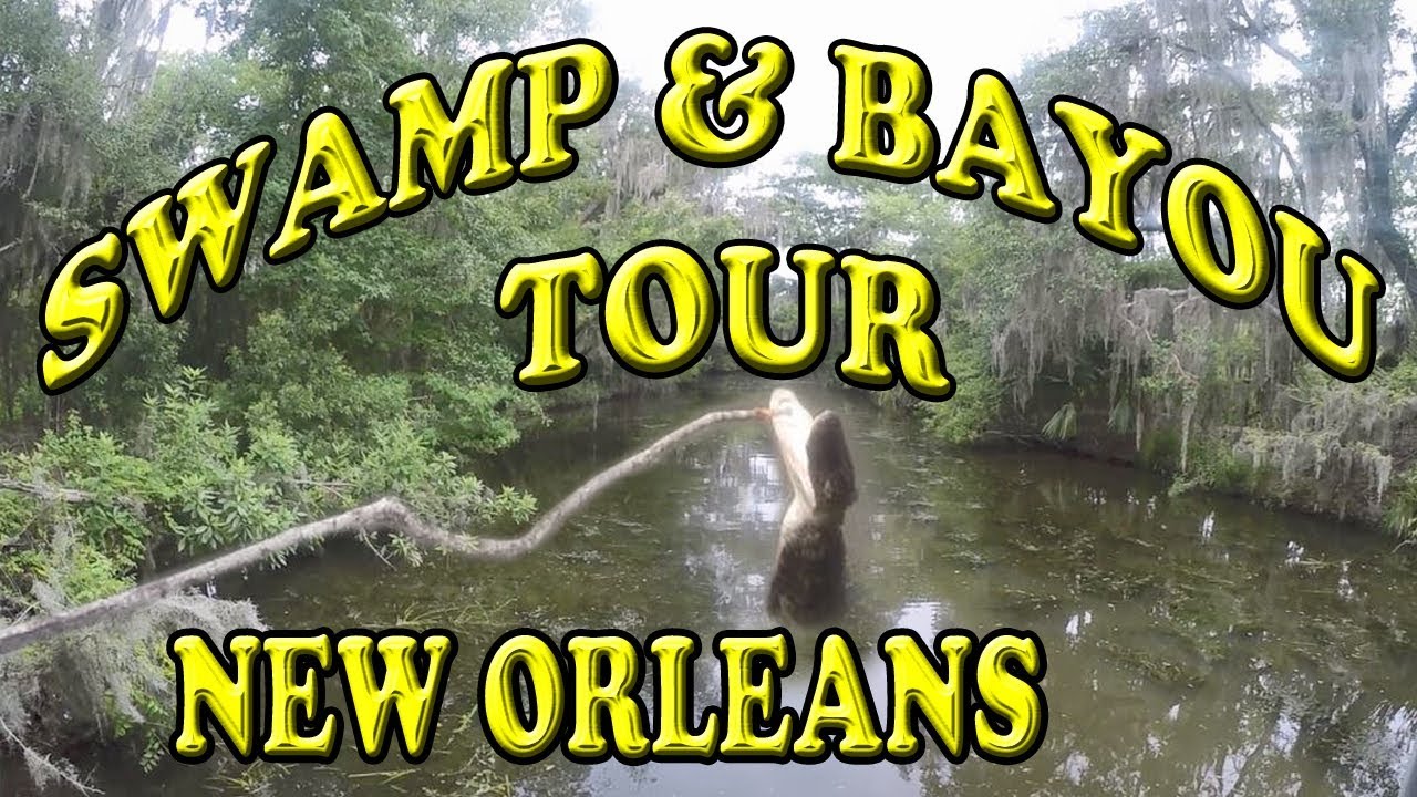 Swamp and Bayou Tour New Orleans