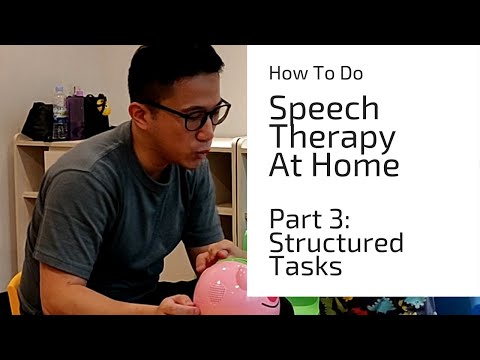 What You Need To Do At Home for Speech Therapy (part 3) | www.agentsofspeech.com/checklist