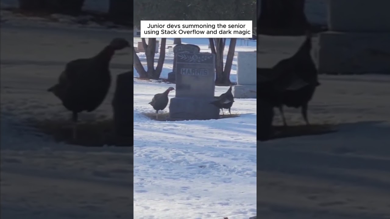 When junior devs summon a senior… Stack Overflow edition! #juniorDev #softwareEngineer #codingLife