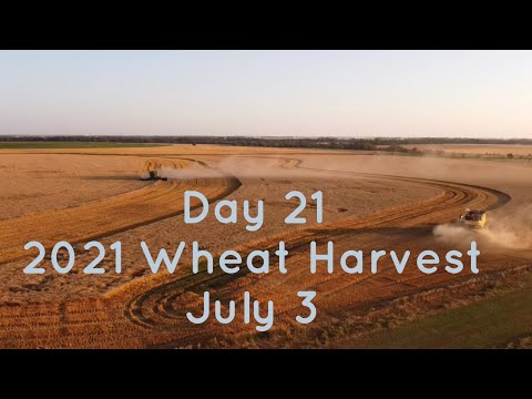 Day 21 - 2021 Wheat Harvest / July 3 (Chase, Kansas)