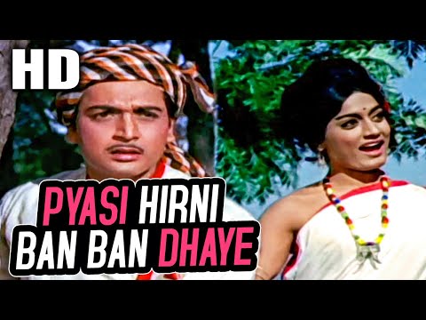प्यासी हिरणी बन बन ढाए | Pyasi Hirni Ban Ban Dhaye | Lata Mangeshkar | Do Dil 1965 Songs | Rajshree