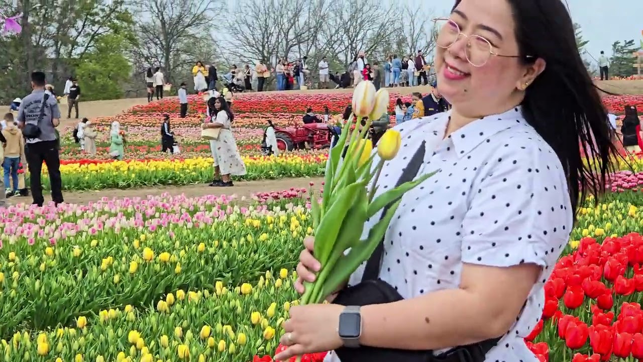 Family Outing @ JP Niagara Tulip Experience 2