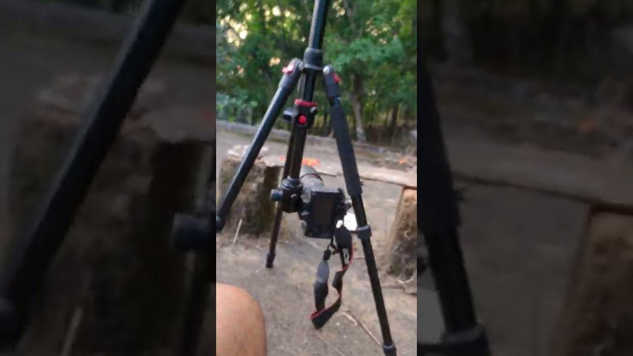 📷Shutter stock 🌶️📸🖼️photoshoot behind the scene #shutterstock #photography #nature