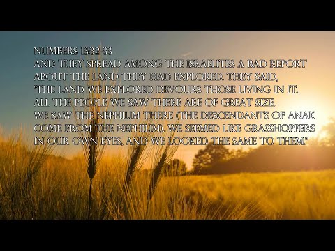 Numbers 13:32 33 The Voice of the Lord March 15, 2023 by Pastor Teck Uy